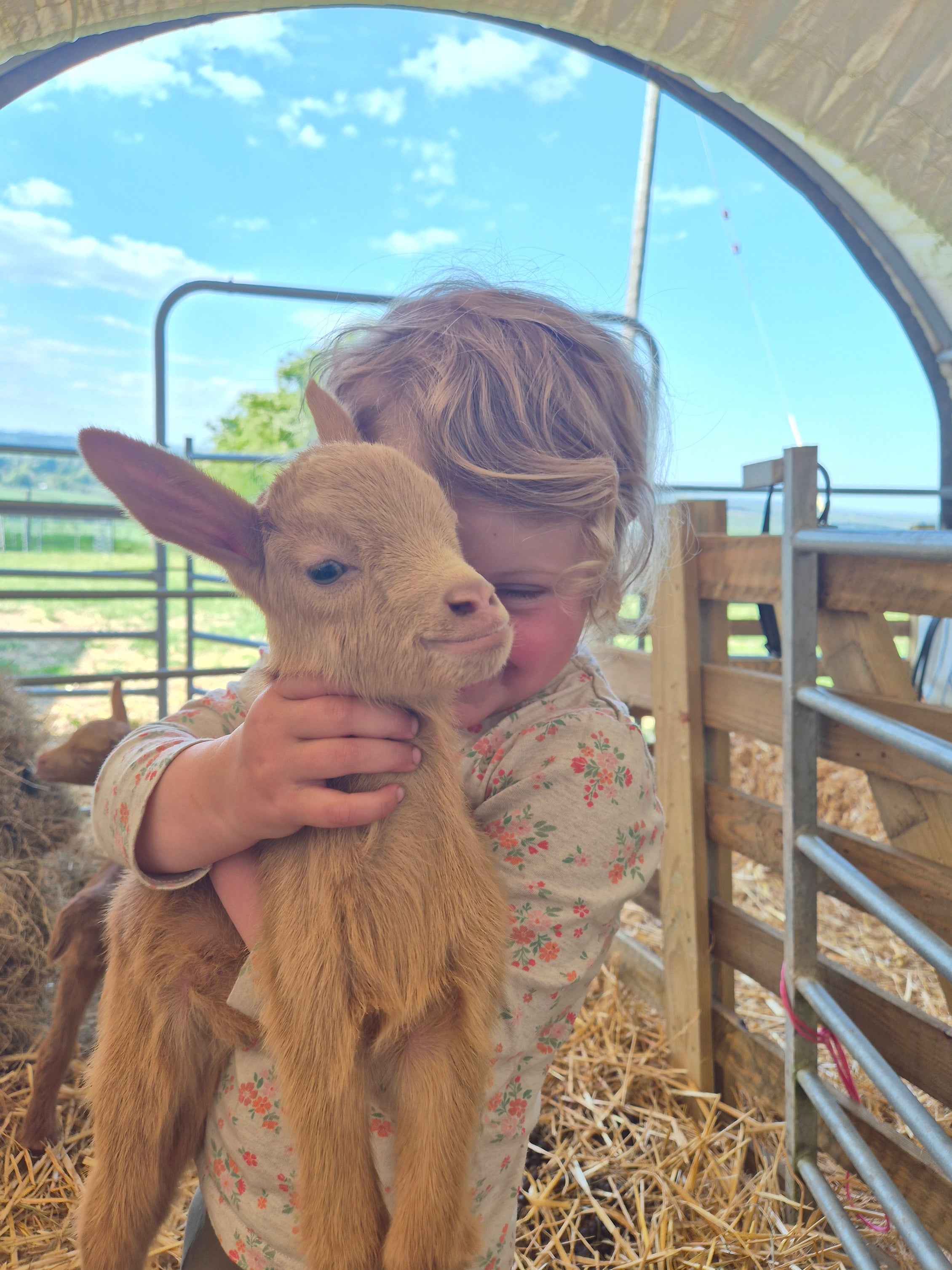 Children's Play Barn | Soft Play | Brocksbushes – Brocksbushes Farm Shop