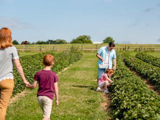 About Us | Brocksbushes Farm Shop