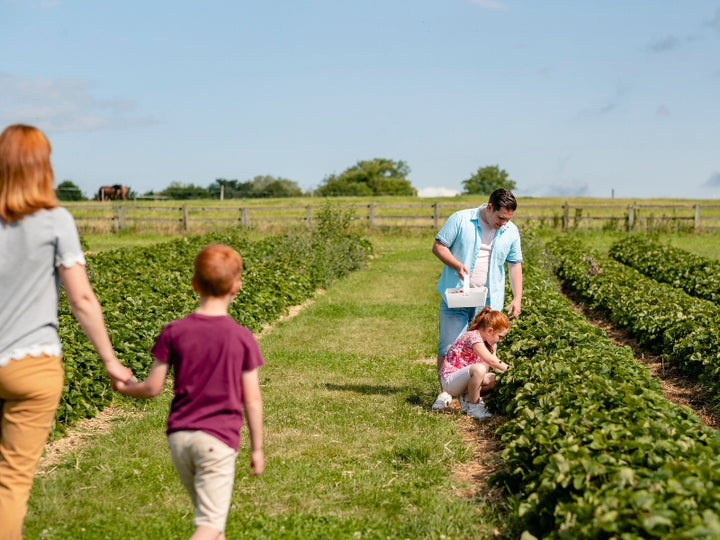 About Us | Brocksbushes Farm Shop