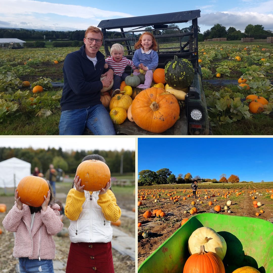 Pick Your Own Pumpkins | Brocksbushes Farm Shop